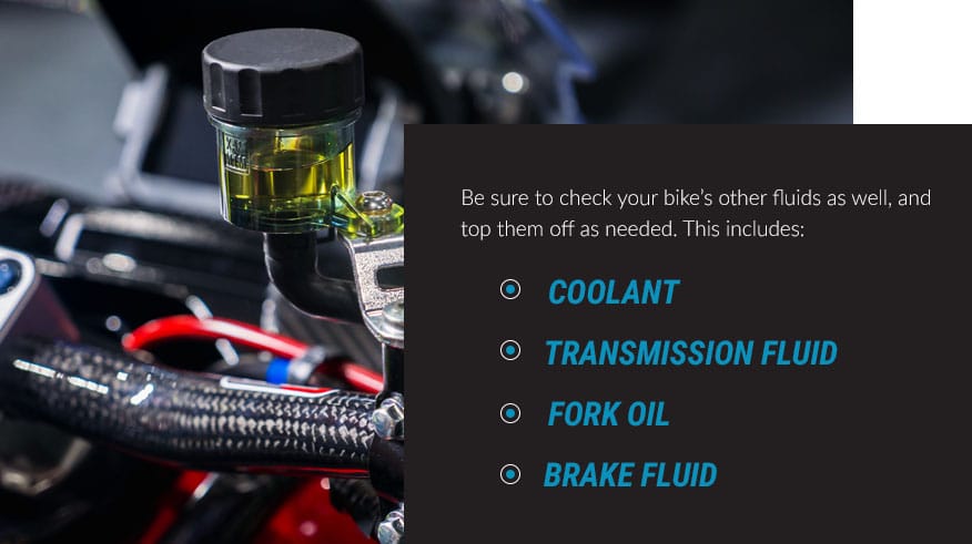 Motorcycle Maintenance: The Ultimate Guide